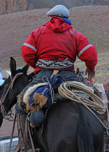 Mulas para transporte de carga - INKA Expediciones